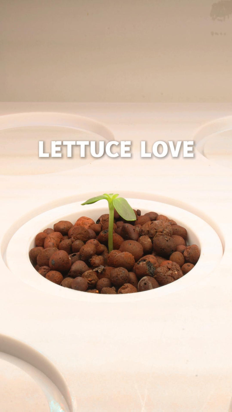 Elfsys Grow Kit - A Mini Vertical Farm for Every Home