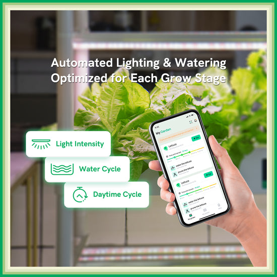 Shop Elfsys Grow Kit