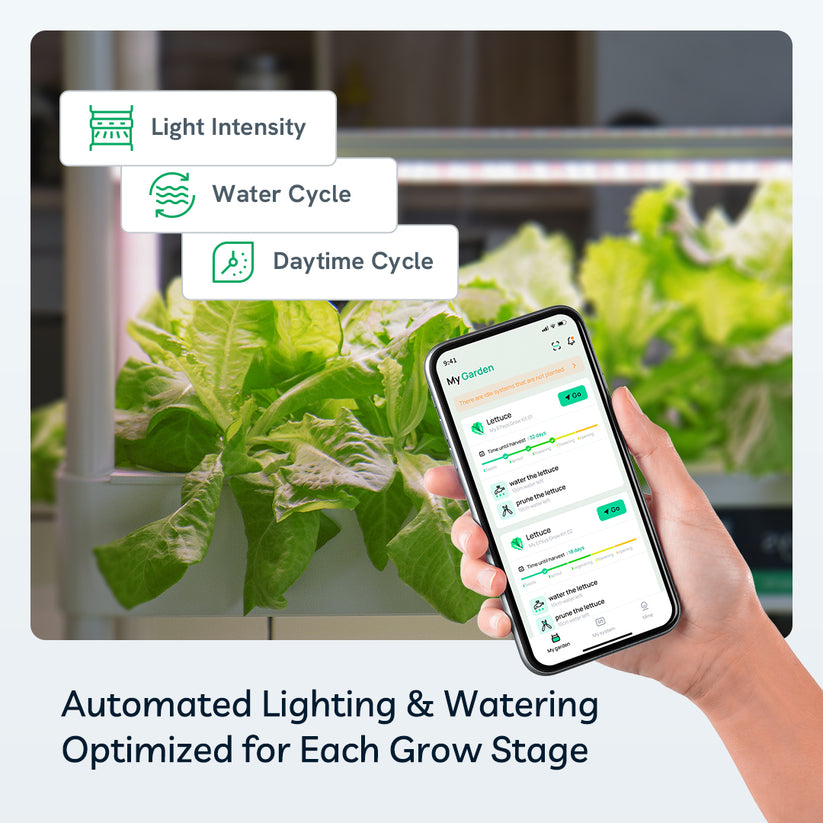 Shop Elfsys Grow Kit