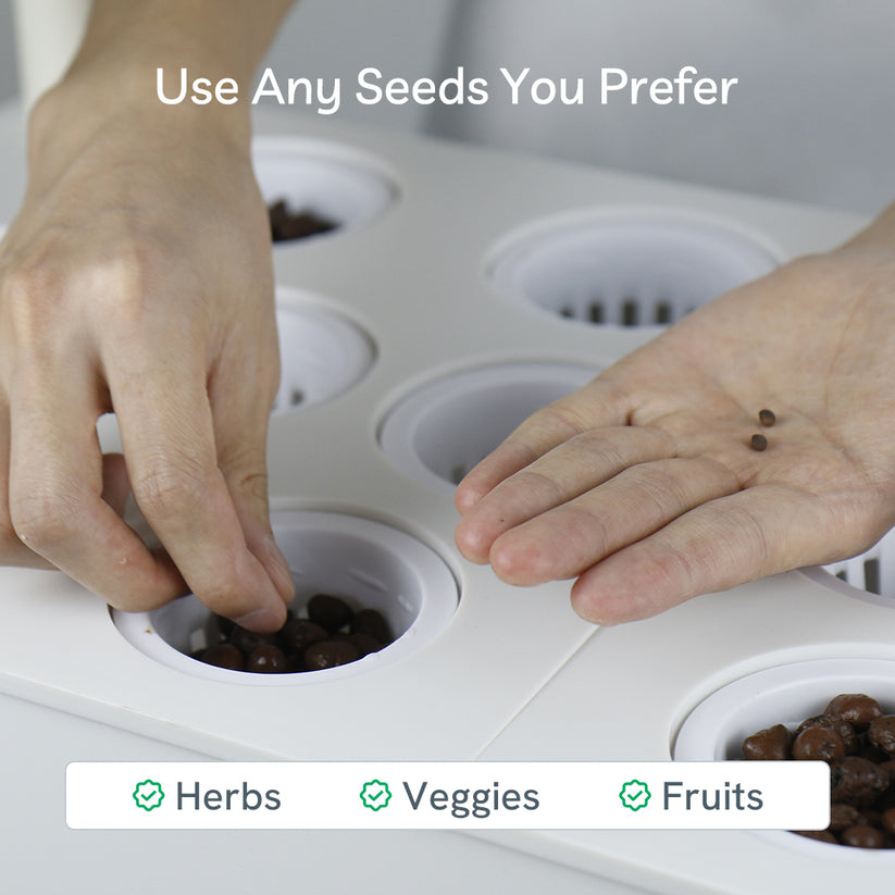 Shop Elfsys Grow Kit