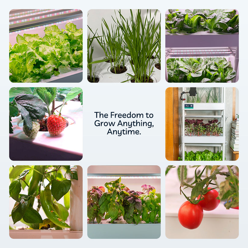 Shop Elfsys Grow Kit