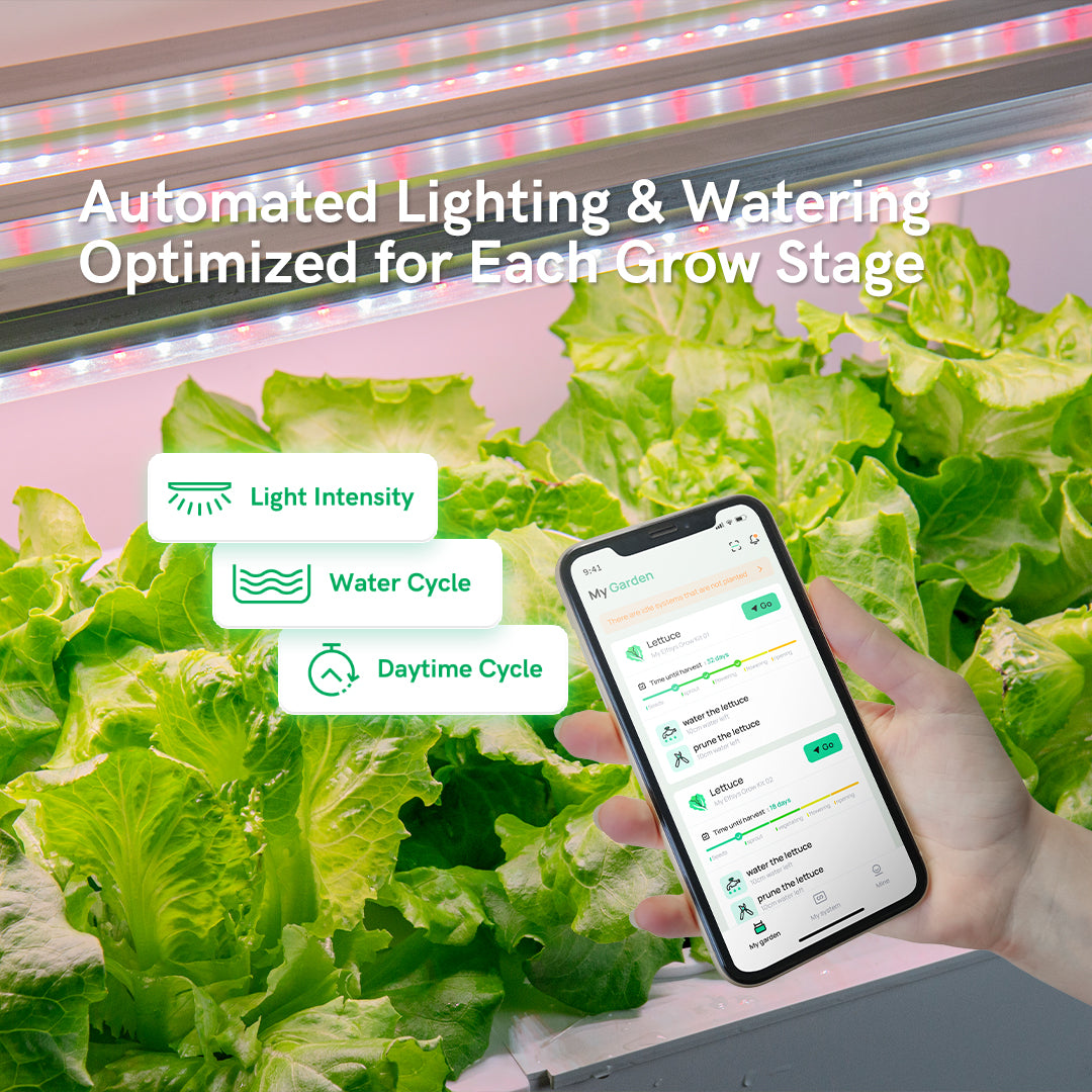 Shop Elfsys Grow Kit