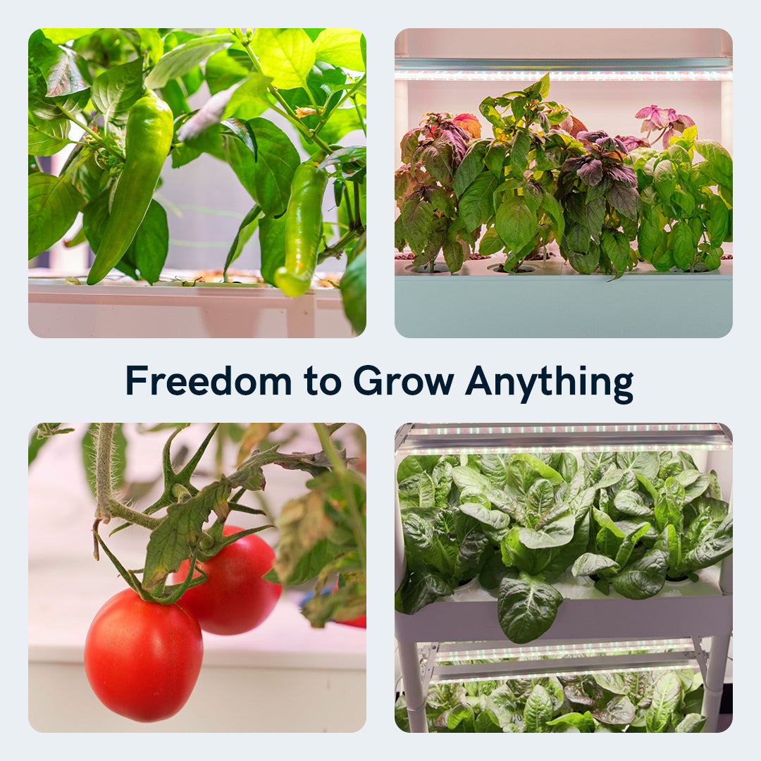 Shop Elfsys Grow Kit